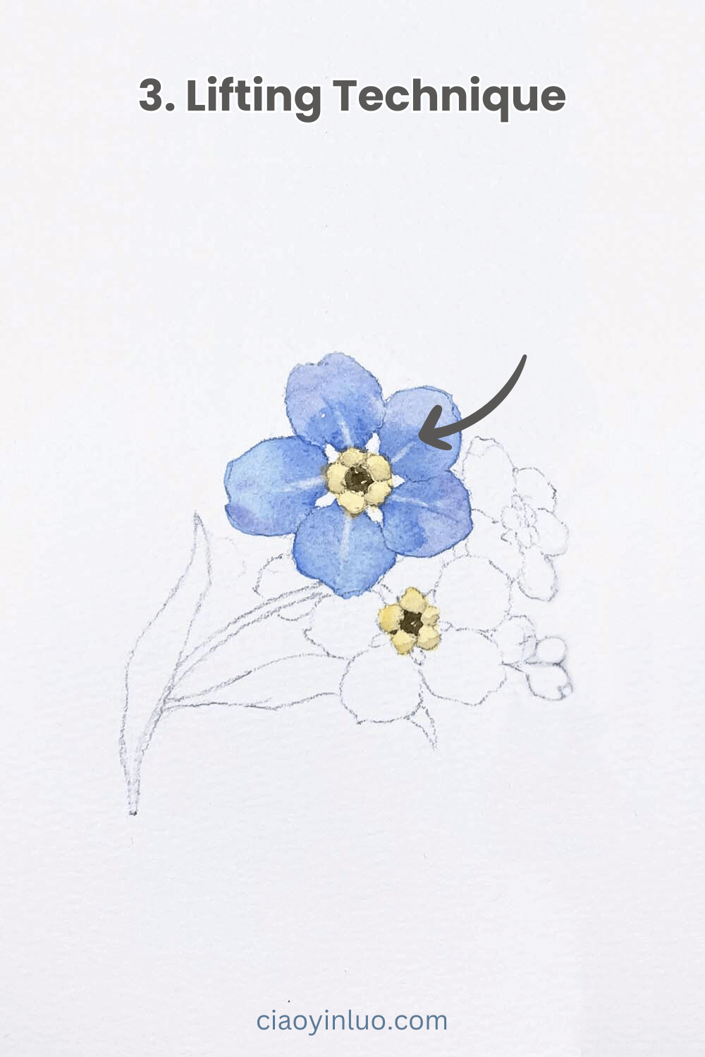 Forget-me-not Flower: Step-by-Step Easy Watercolor Tutorial