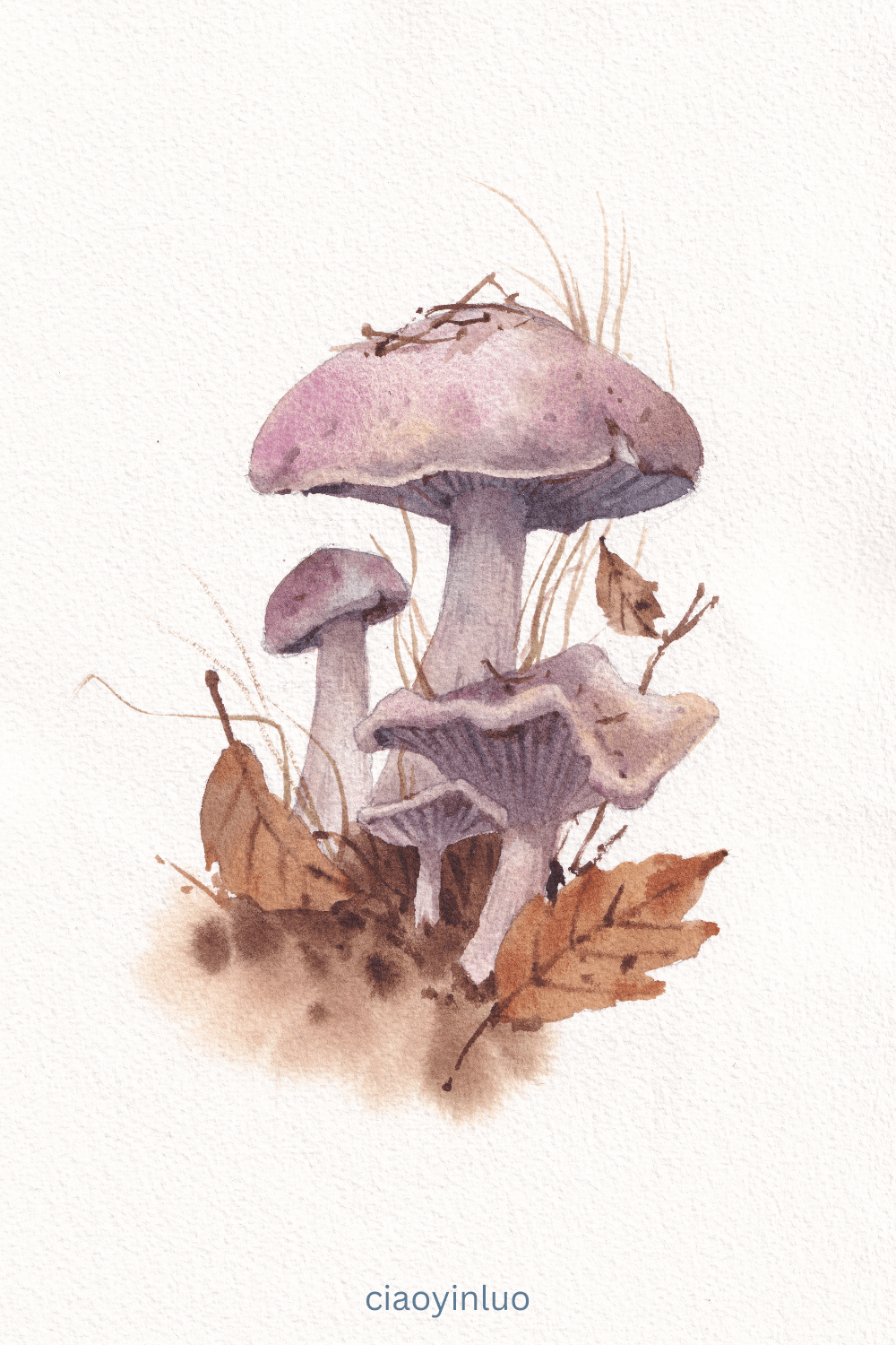 How to paint Mushroom: Step-by-Step Easy watercolor Tutorial