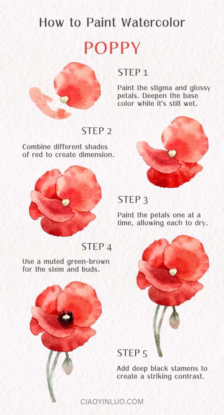 How to paint Poppy flowers