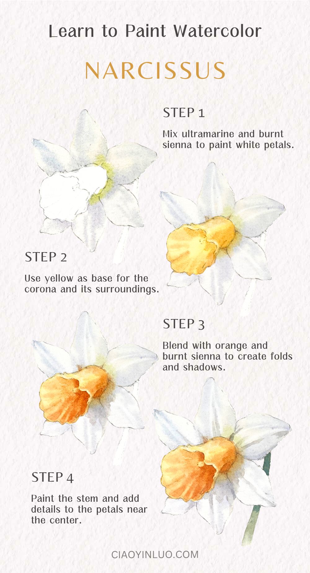 How to Paint Elegant Daffodils: A Step-by-Step Watercolor Guide