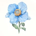 Learn how to paint watercolor Himalayan blue poppy