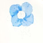 Learn how to paint watercolor Himalayan blue poppy