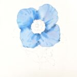 Learn how to paint watercolor Himalayan blue poppy