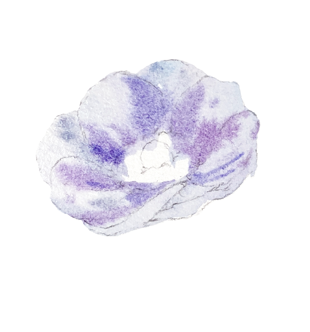 Leran How to Paint Watercolor Anemone