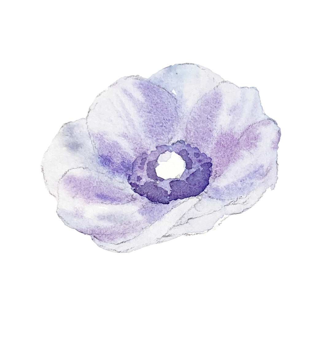 Leran How to Paint Watercolor Anemone