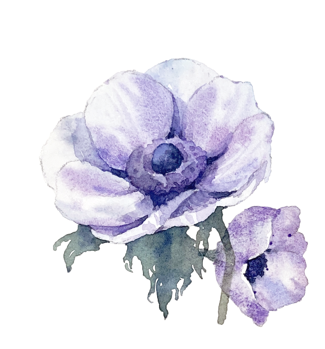 Leran How to Paint Watercolor Anemone